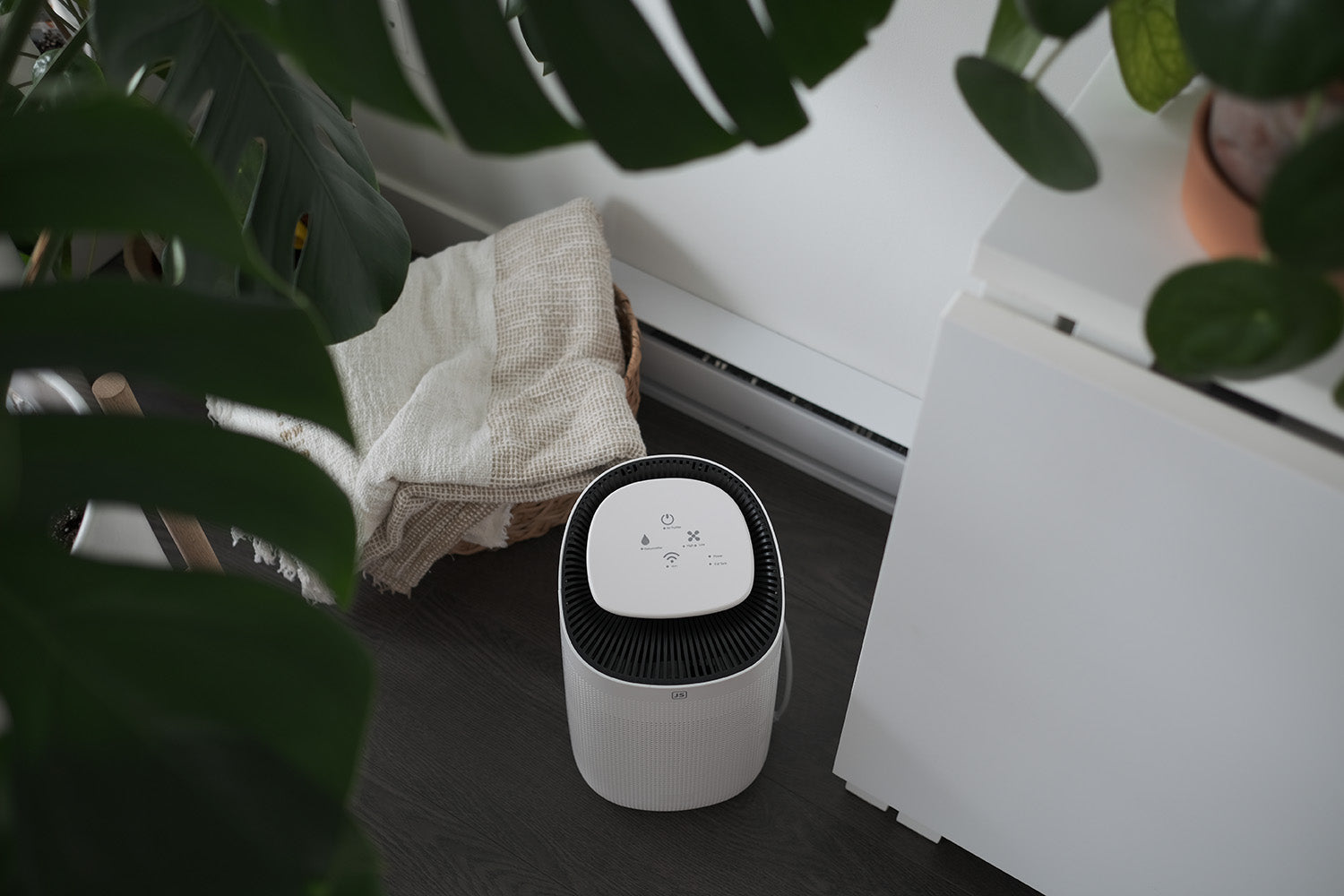 Breathe Easy: The Importance of Having an Air Purifier at Home – JS ...