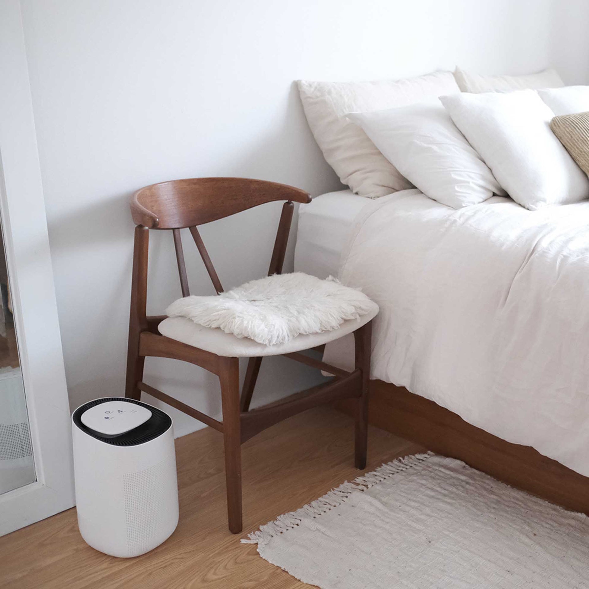 JS VANGUARD 2.0 The 2-in-1 Air Purifier HEPA and Dehumidifier – JS ...